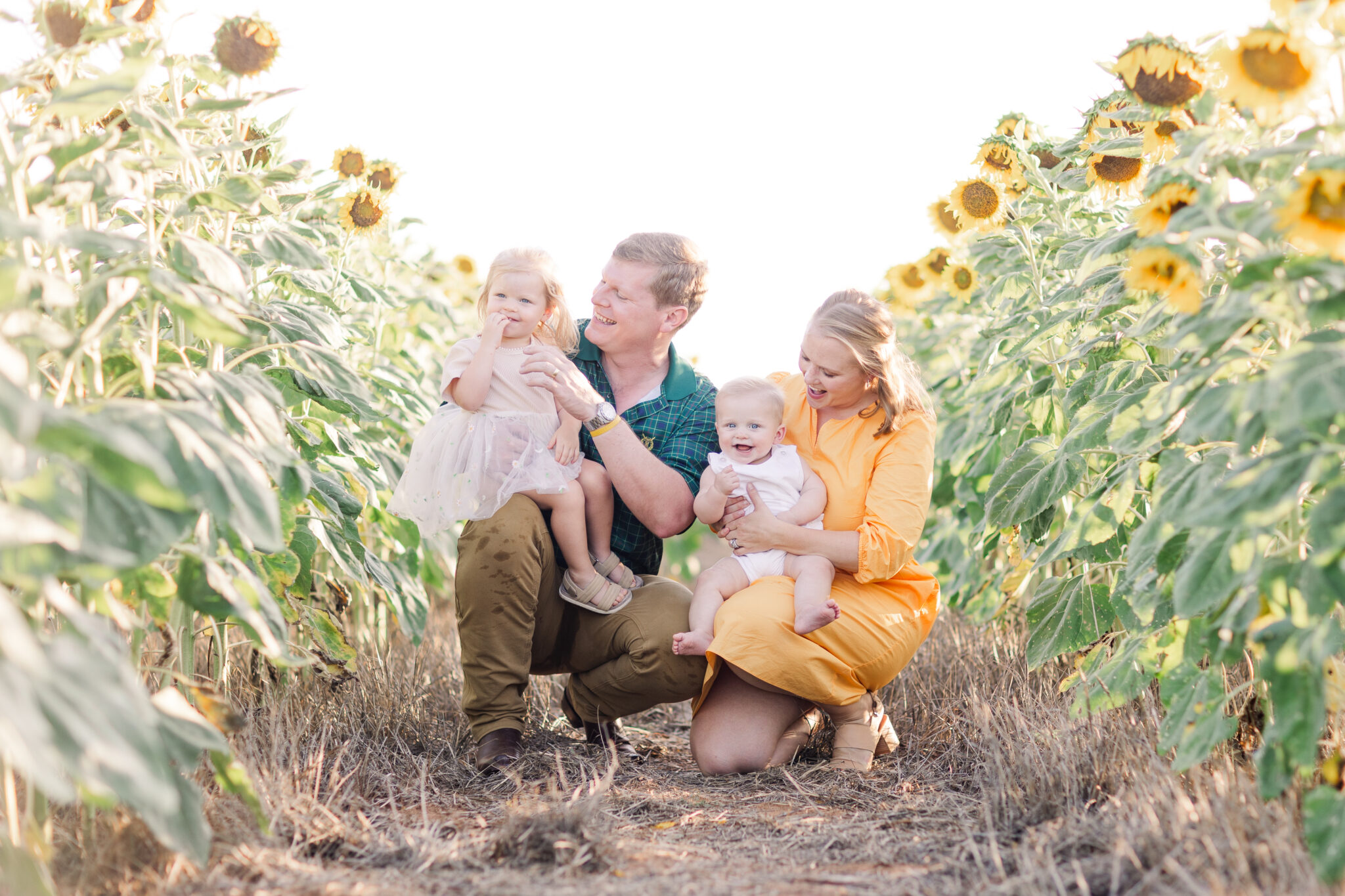 Blog | allisonmaxwell.com